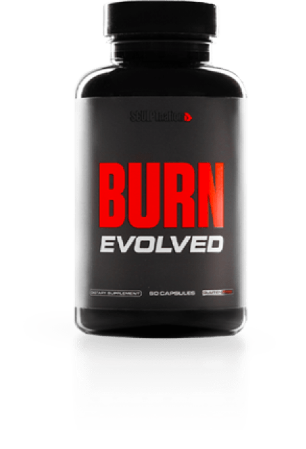 Sculpt Nation